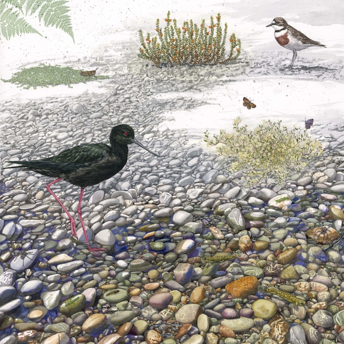 He Wai Apakura – Te Ara Pounamu/ The River’s Lament – A Pathway of ...