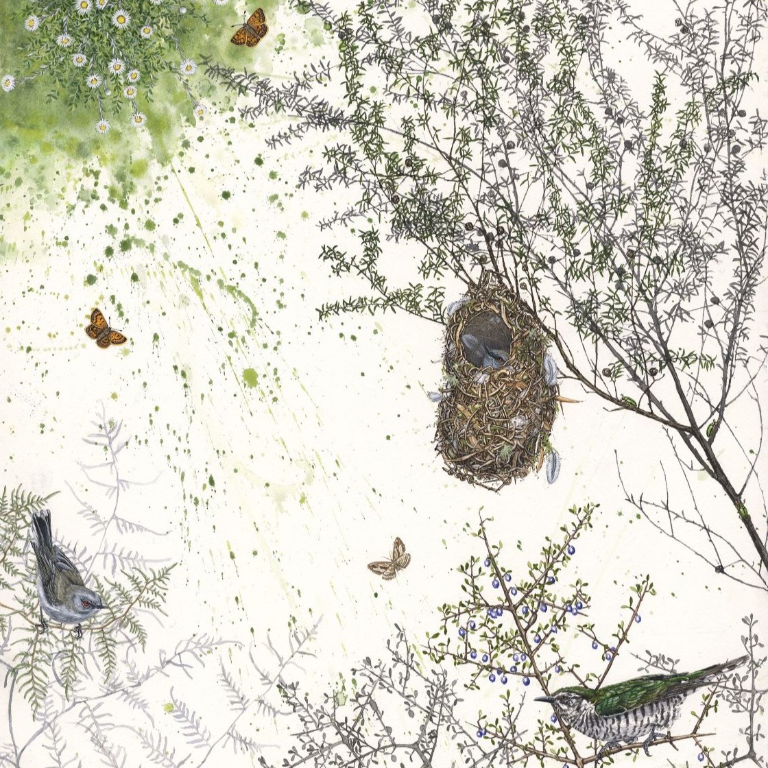 He Wai Apakura – Te Ara Pounamu/ The River’s Lament – A Pathway of ...