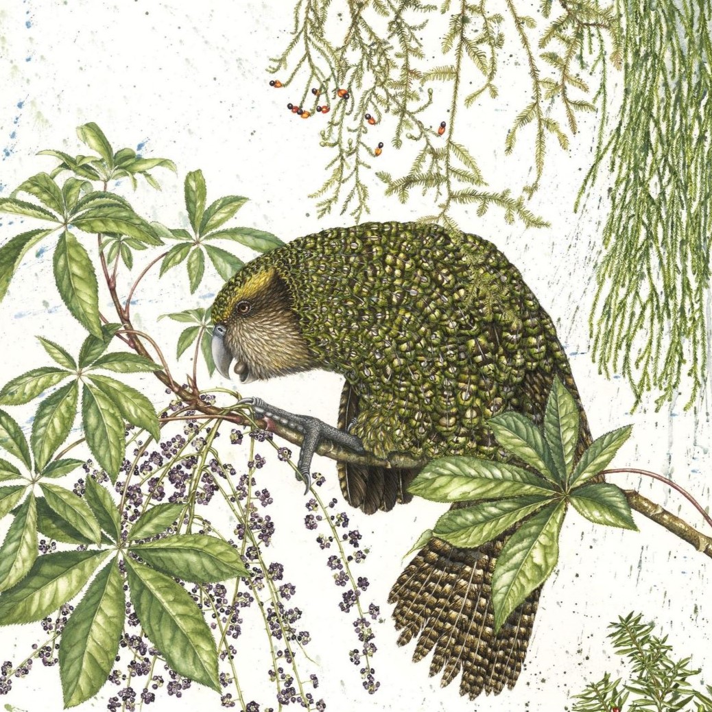 He Wai Apakura – Te Ara Pounamu/ The River’s Lament – A Pathway of ...