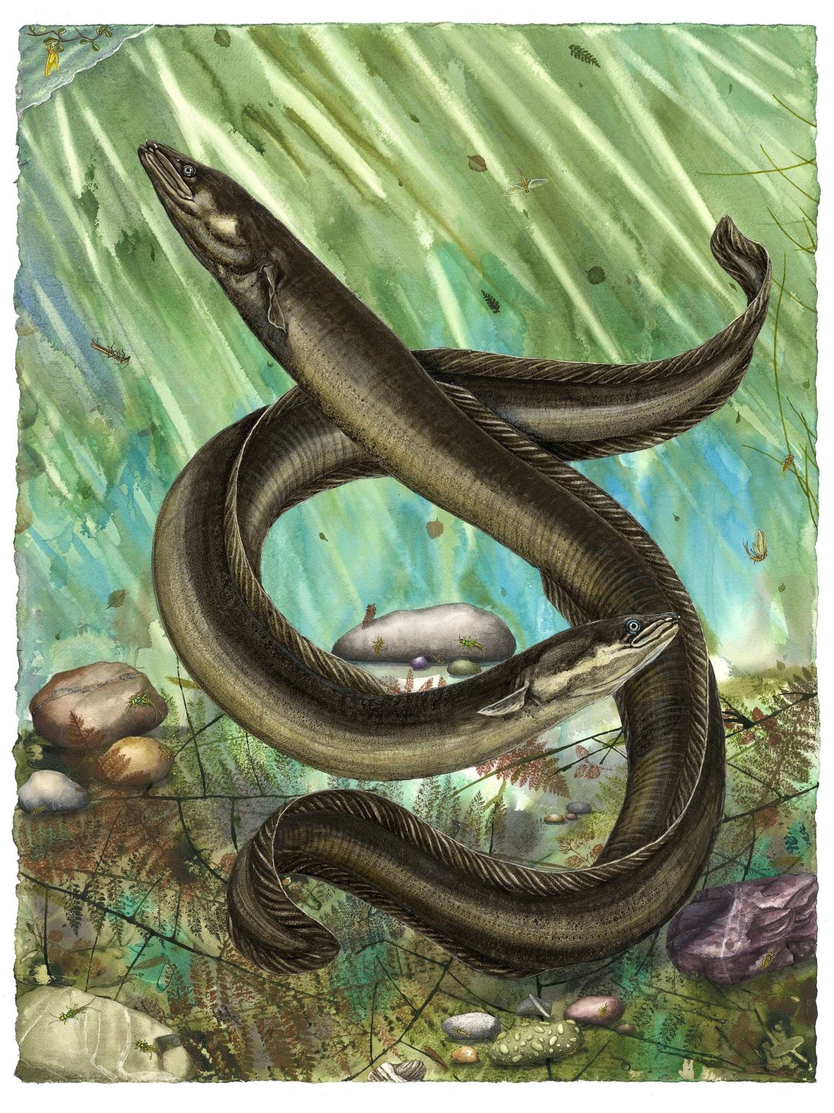 He Wai Apakura – Te Ara Pounamu/ The River’s Lament – A Pathway of ...